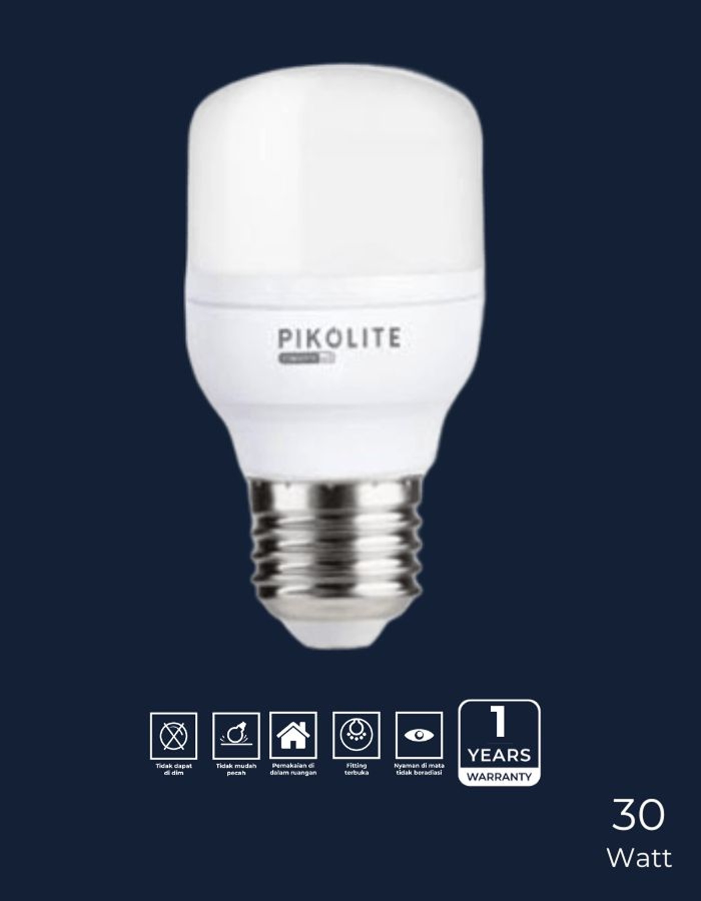 LED T-Bulb 30 Watt PLB - 502 - pikolite